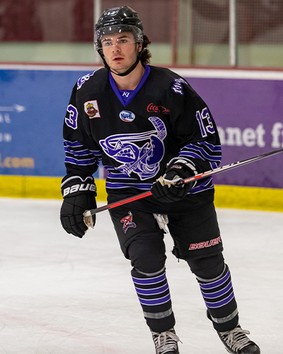 The Shreveport Mudbugs of the North American Hockey League (NAHL) are ...