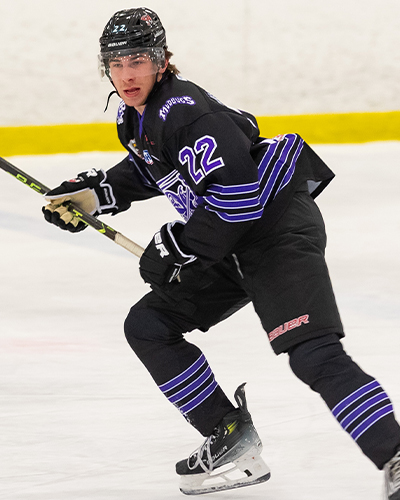 The Shreveport Mudbugs of the North American Hockey League (NAHL) are ...